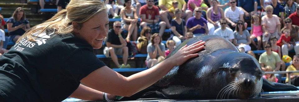 Our Mission - Ocean Connections