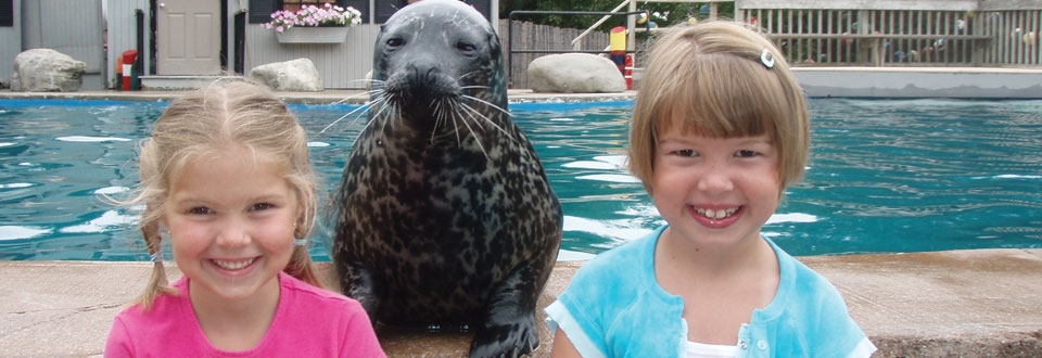 Our Mission - Ocean Connections