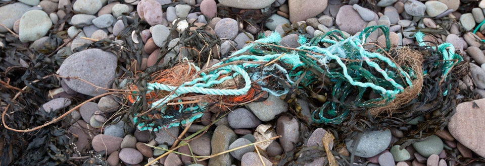 Marine Debris - Ocean Connections