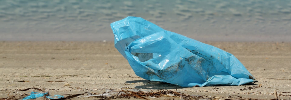 Marine Debris - Ocean Connections