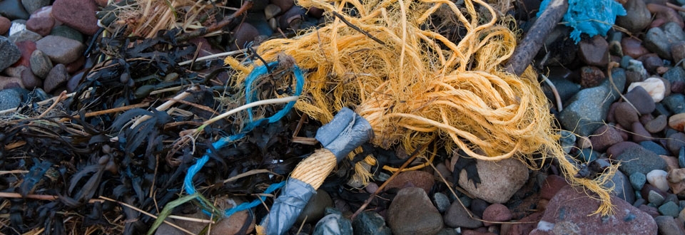 Marine Debris - Ocean Connections