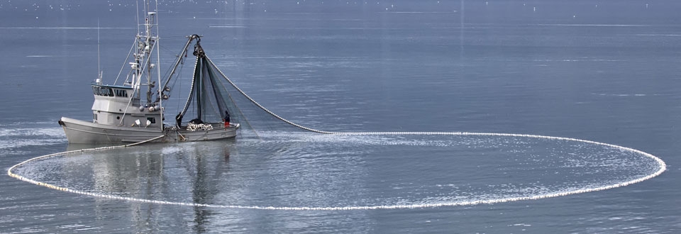 Overfishing - Ocean Connections
