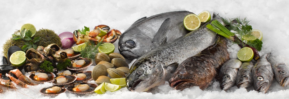 Conservation - Seafood Watch - Ocean Connections