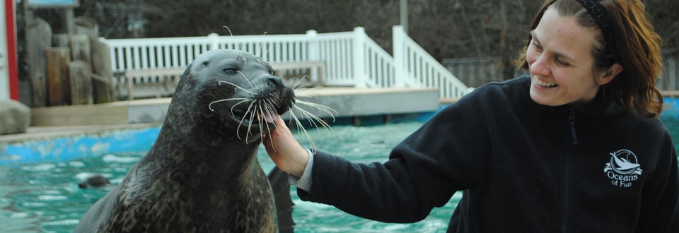 Career Information - Ocean Connections