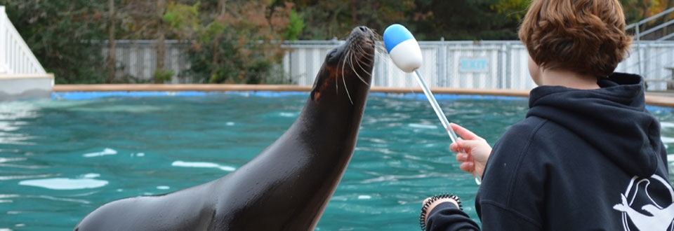 Career Information - Ocean Connections